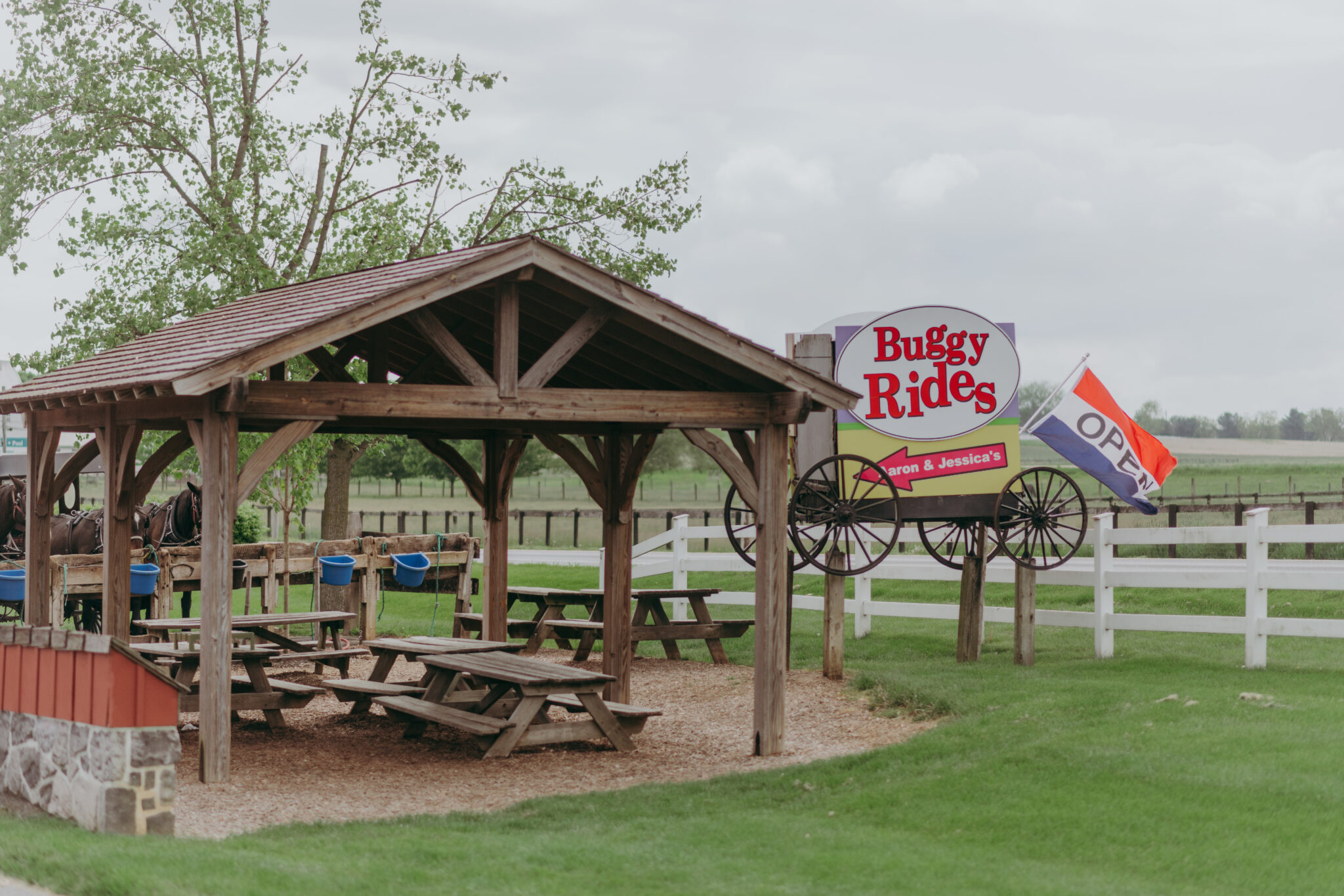 Amish Buggy Rides – The Ultimate Amish Experience
