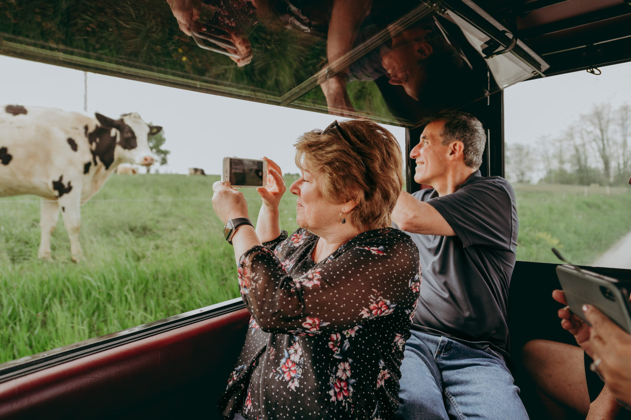 Private Tours – Amish Buggy Rides