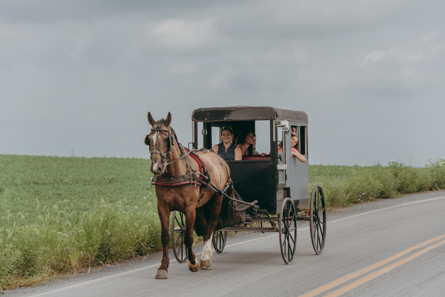 Amish Buggy Rides – The Ultimate Amish Experience