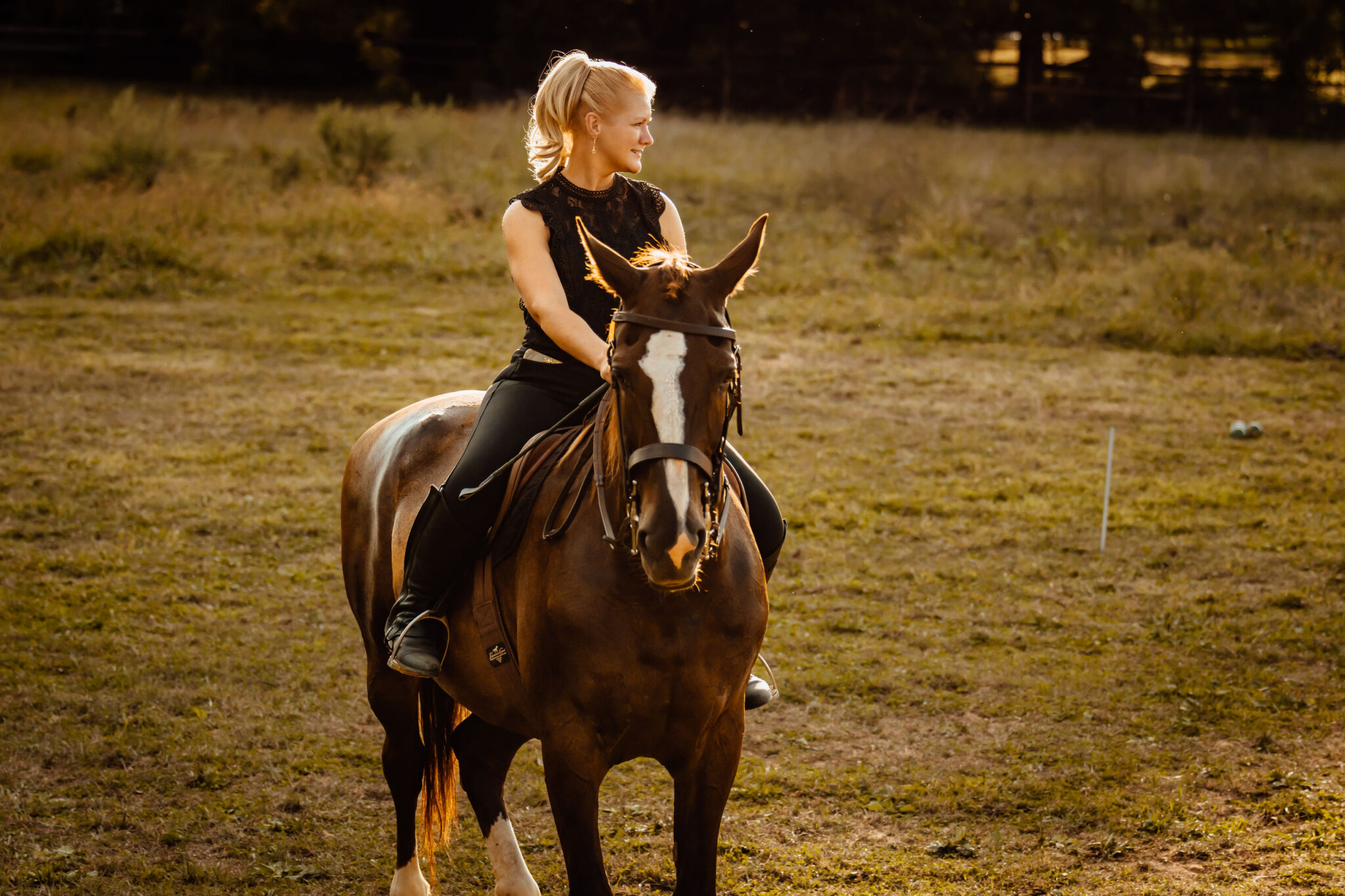 Meet Jessica – Amish Buggy Rides