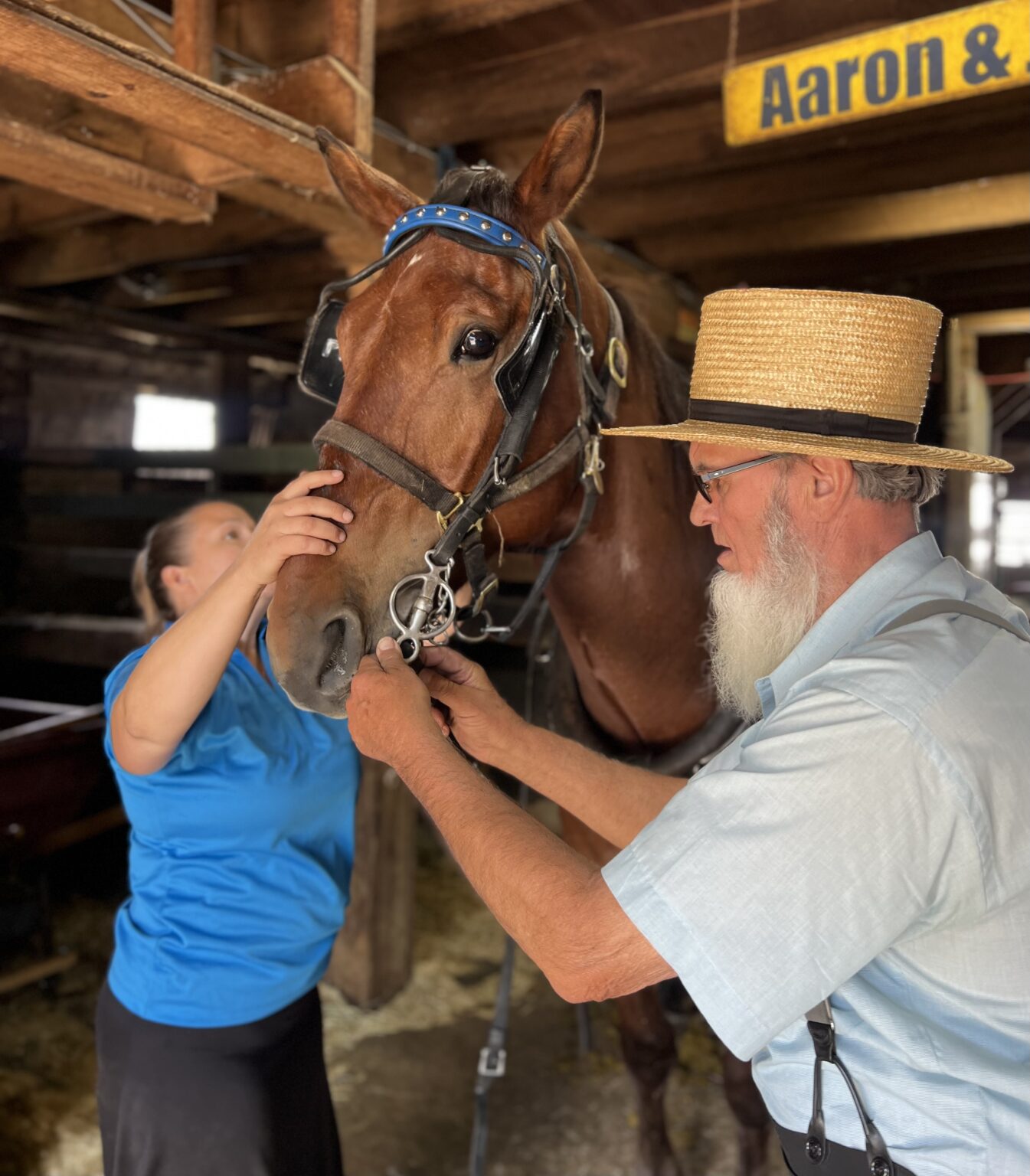 Amish Buggy Rides – The Ultimate Amish Experience