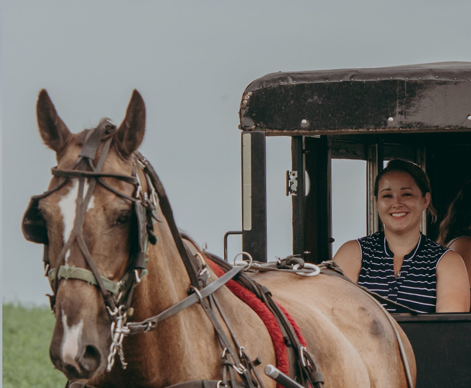Meet our Team – Amish Buggy Rides