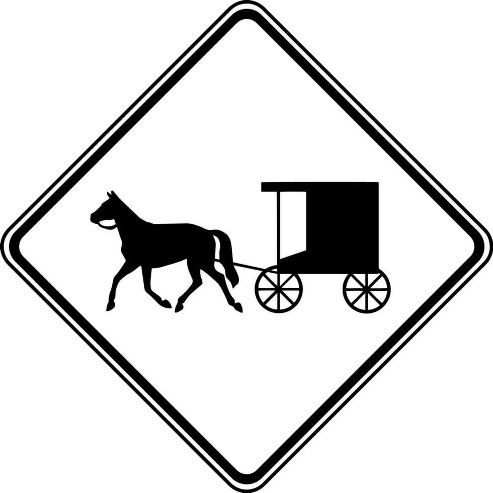 Amish Buggy Rides – The Ultimate Amish Experience